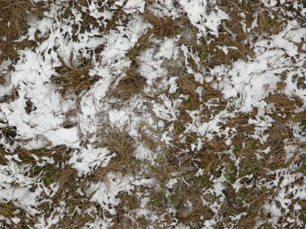 frozen ground texture 0018 - Texturelib